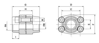 SAE Socket Weld Flange – SADFS-SW | NCE Solutions